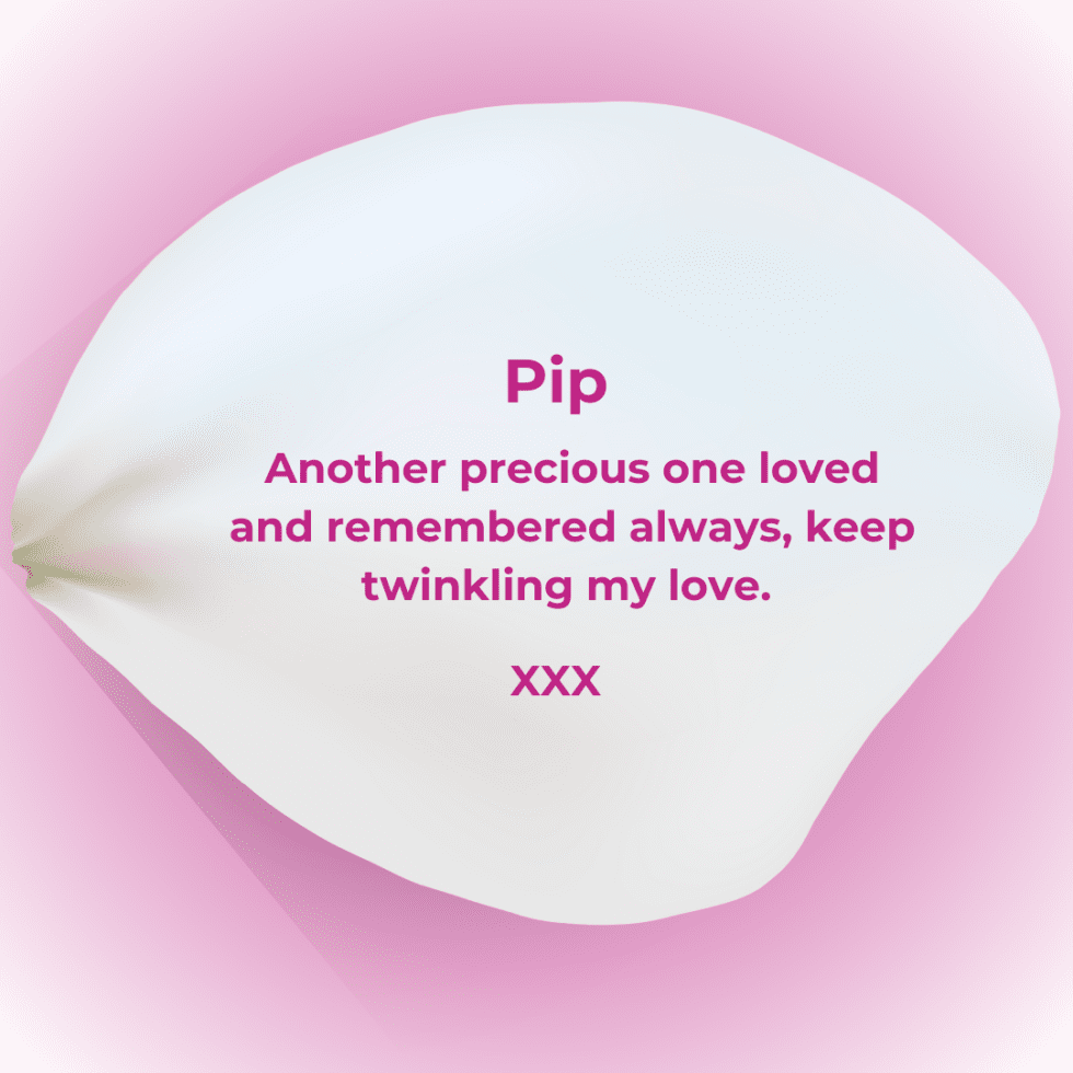 Petals Wall to Remember - Petals Charity